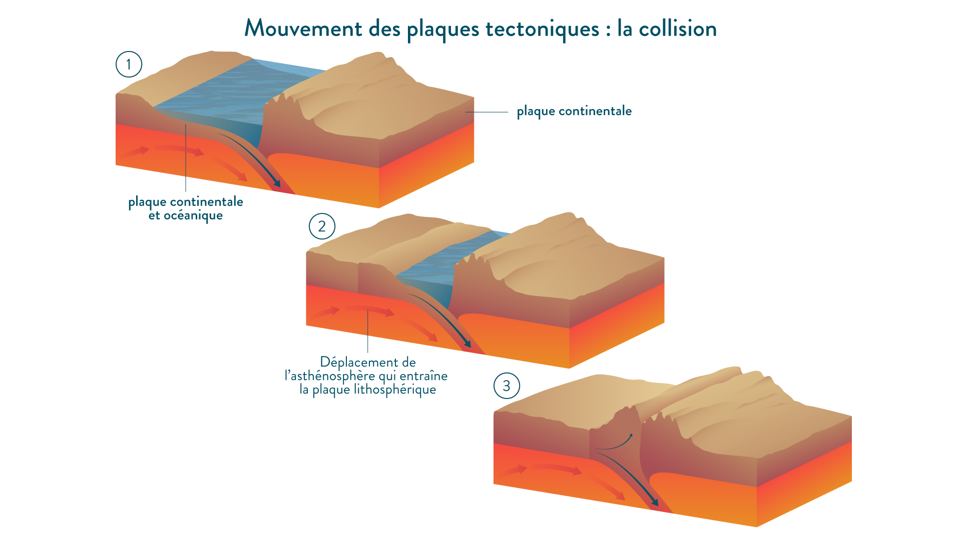 La Tectonique Des Plaques Cours 5e et 4e 3e SVT